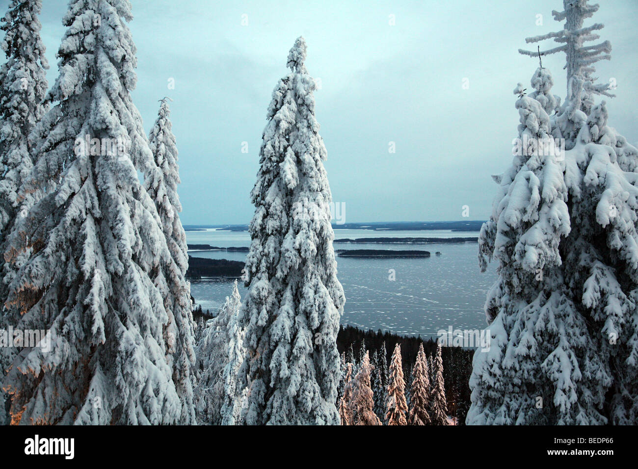 Finnish landscapes hi-res stock photography and images - Alamy