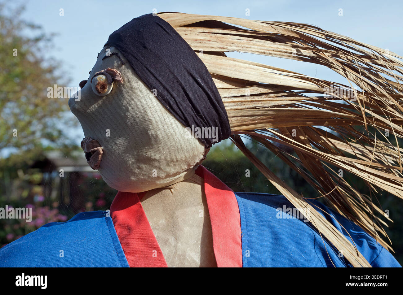 Female woman scarecrow hi-res stock photography and images - Alamy
