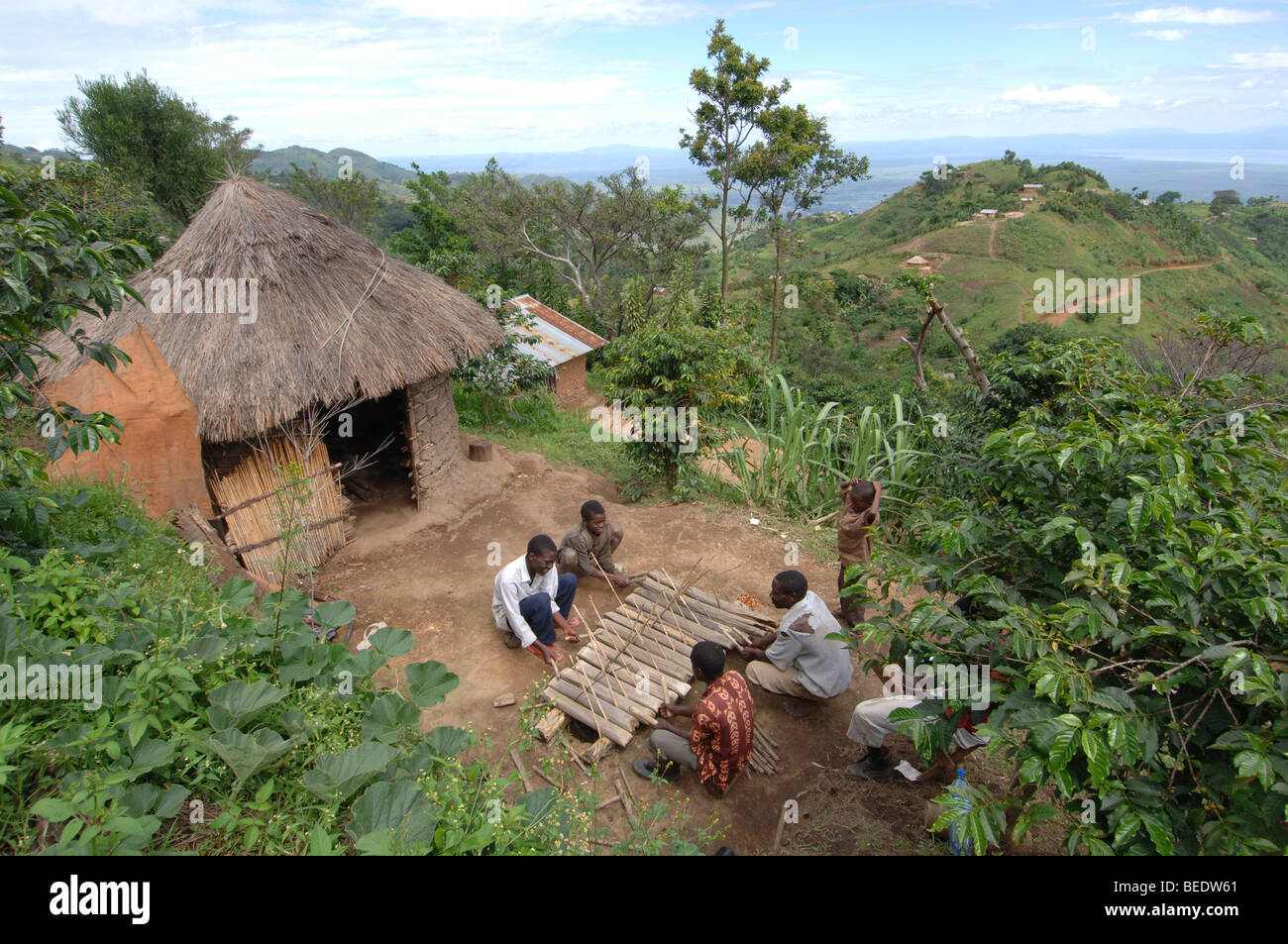 Bakonzo home musical instrument xylophone, Rwenzori Mountains, West ...