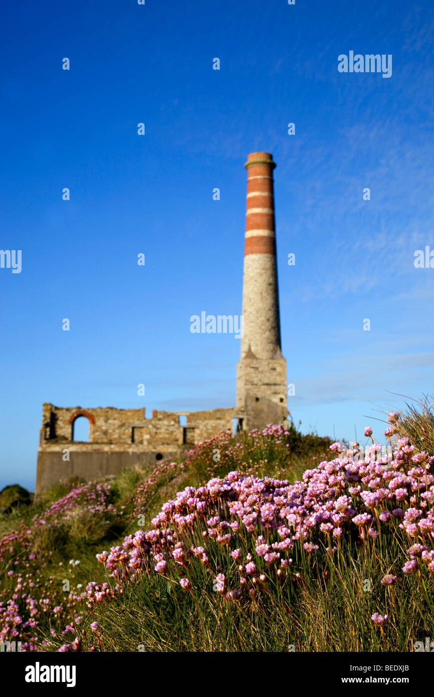 Compressor house at Levant mine; Cornwall; with thrift in foreground ...
