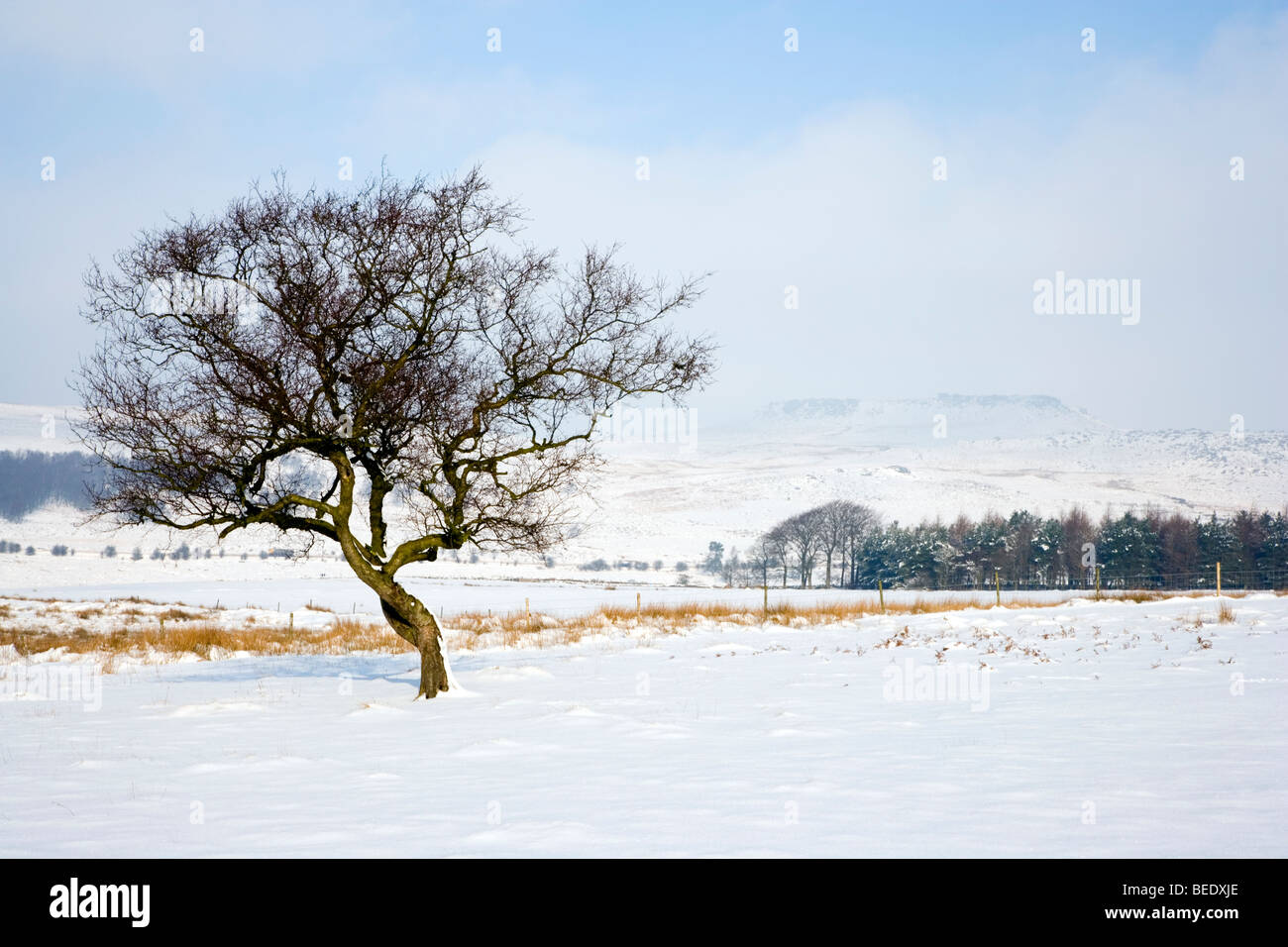 A winter view across Longshaw meadow on the Longshaw Estate with Higger ...
