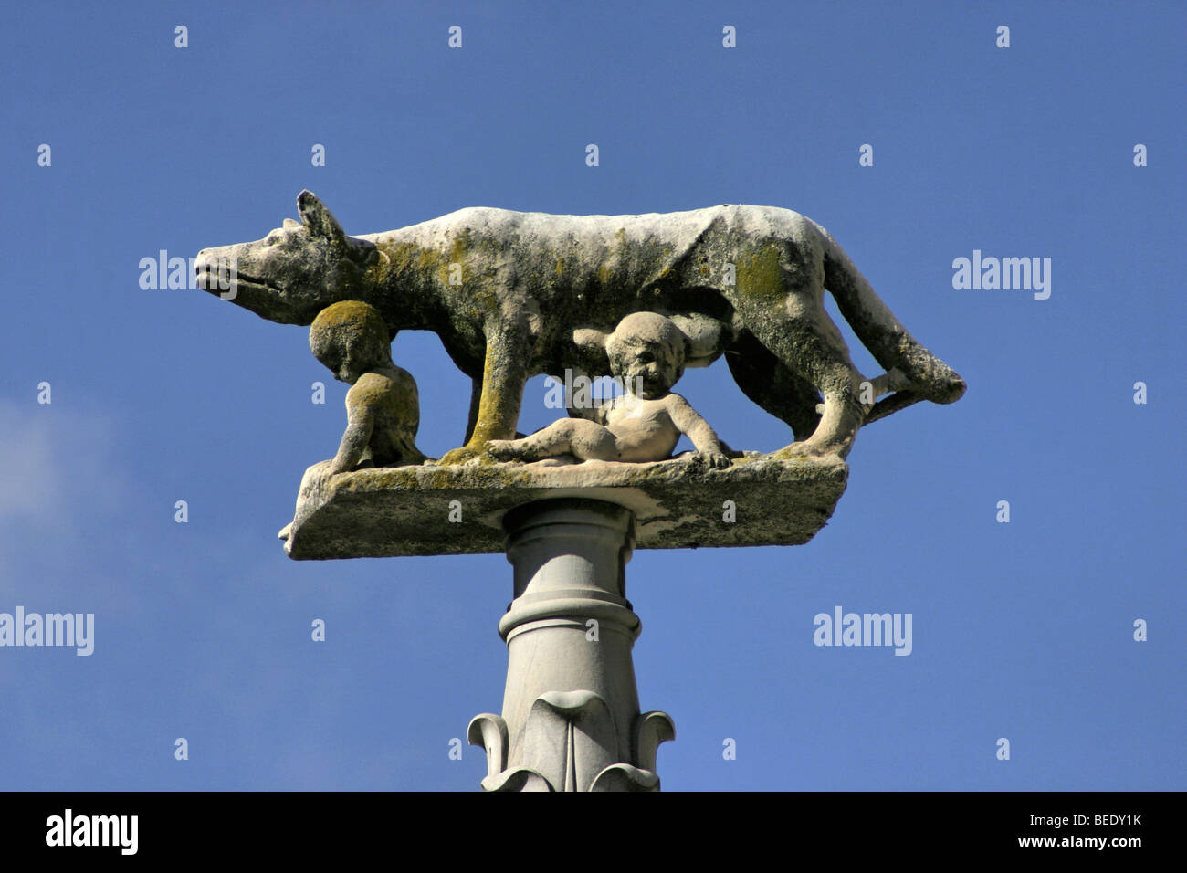 Sculpture of wolfe with romulus remus on column in siena hi-res stock ...