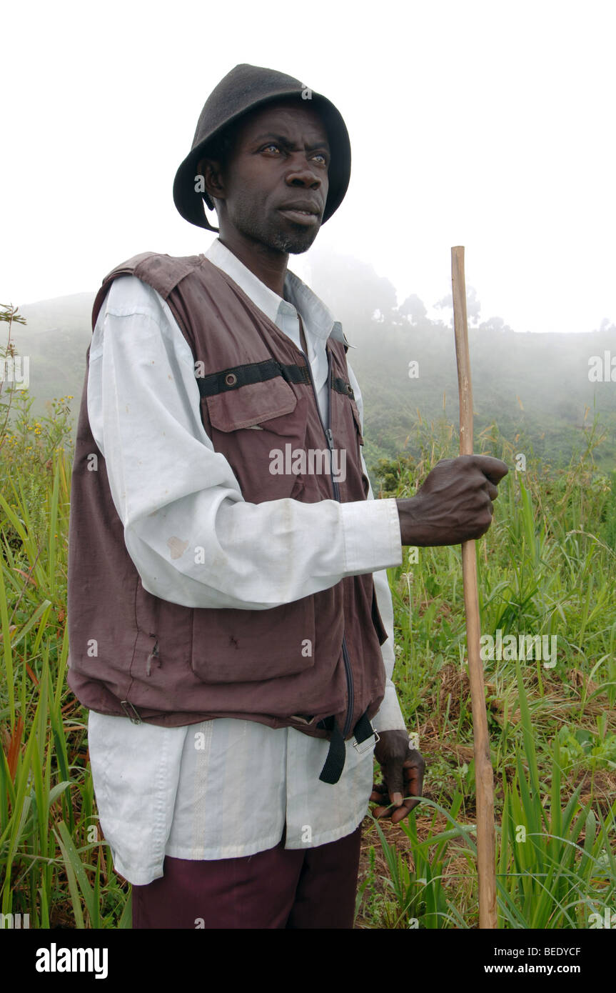 Bakonzo, Rwenzori Mountains, West Uganda, Africa Stock Photo - Alamy