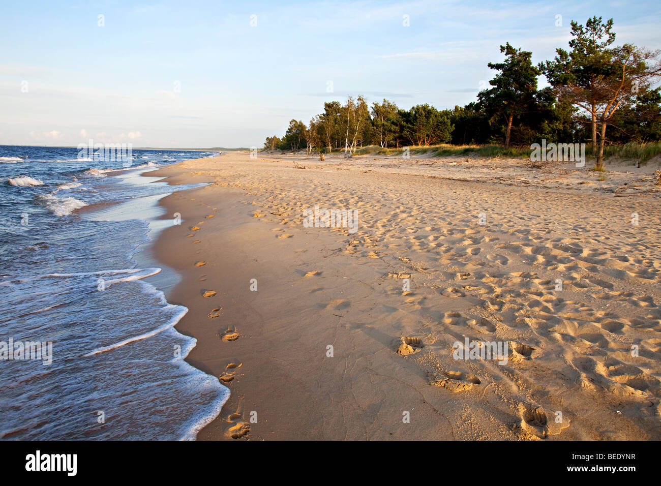 Wyspa sobieszewska hi-res stock photography and images - Alamy