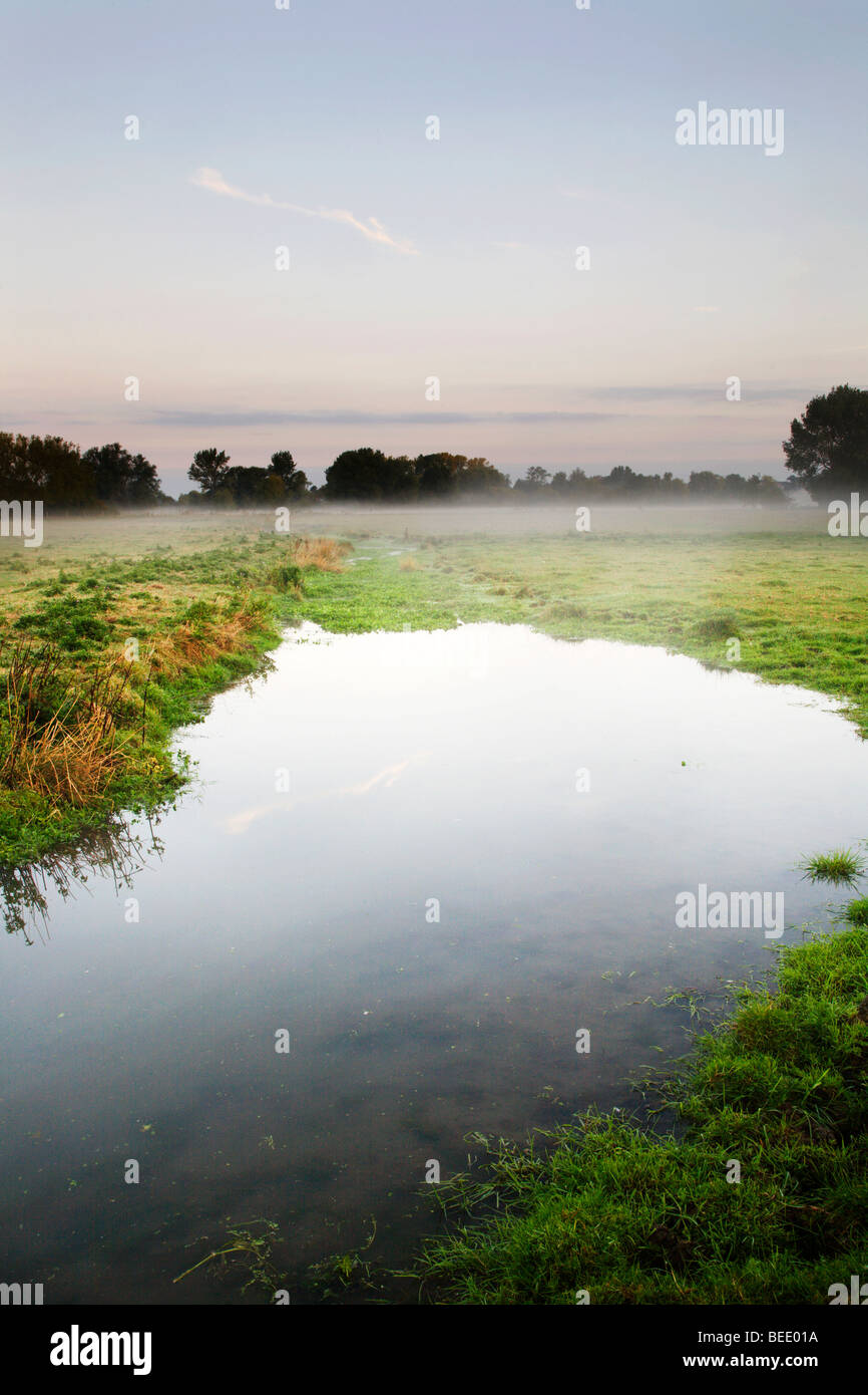 Water Meadows Sudbury Suffolk England Stock Photo - Alamy