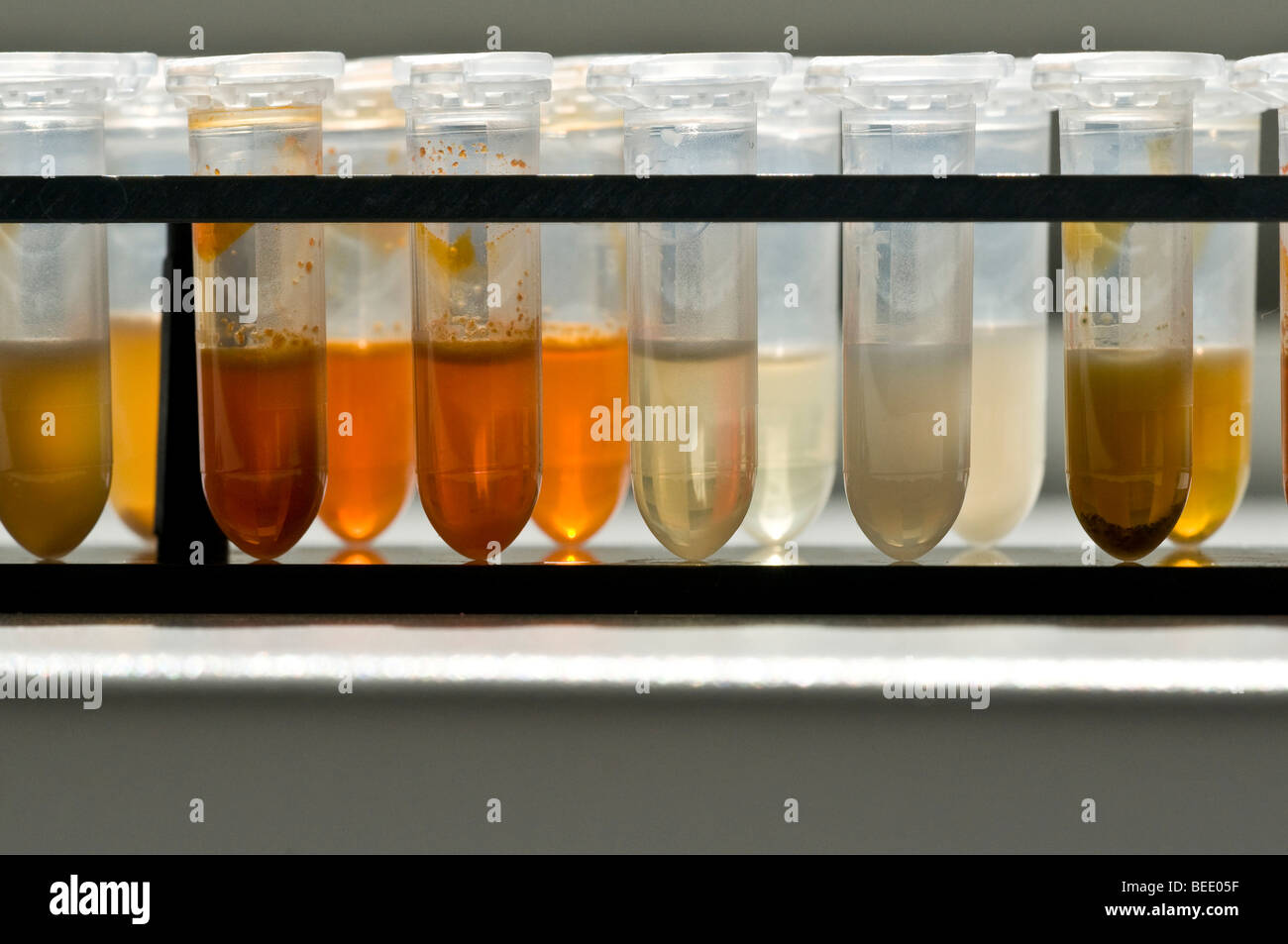 Test tube rack Stock Photo - Alamy