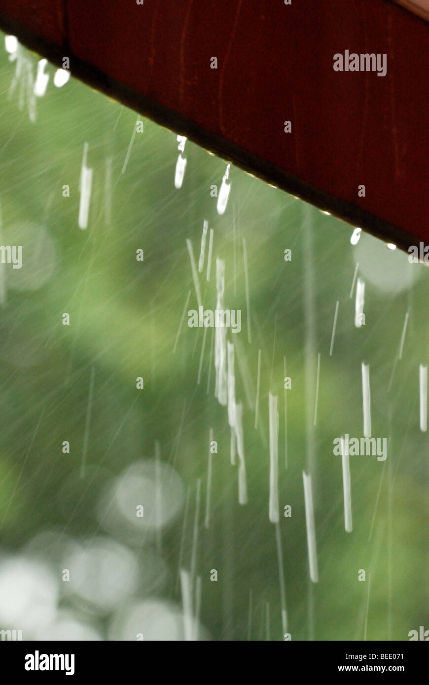 BACKLIT RAINDROPS FALLING FROM ROOF Stock Photo - Alamy