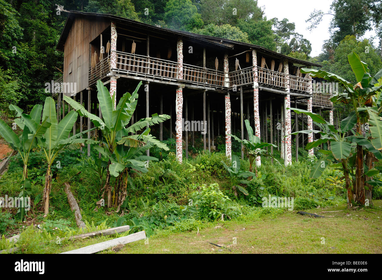 A Traditional Orang Ulu Tribe Communal Longhouse & Rainforest at the ...