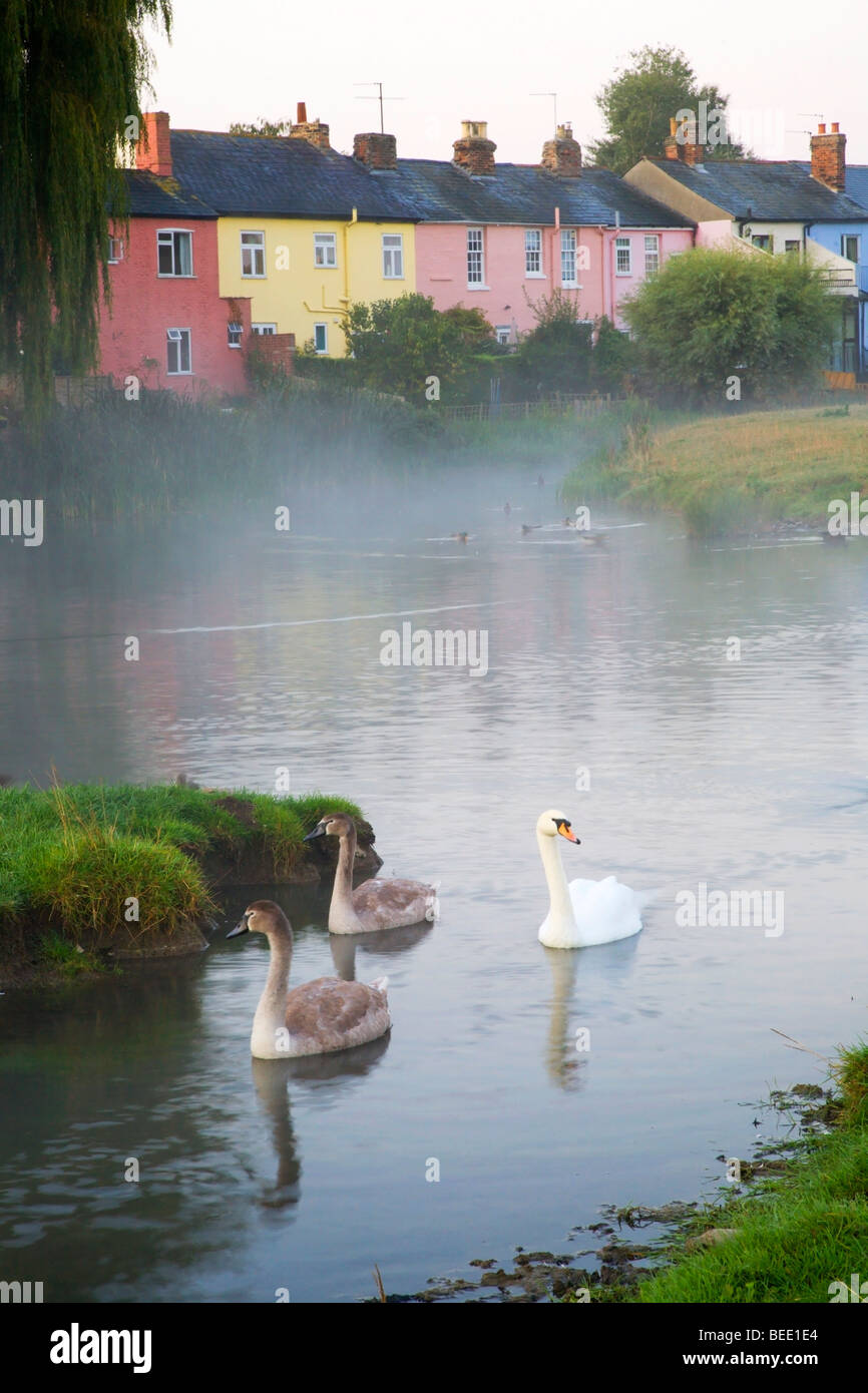 Water Meadows Sudbury Suffolk England Stock Photo - Alamy