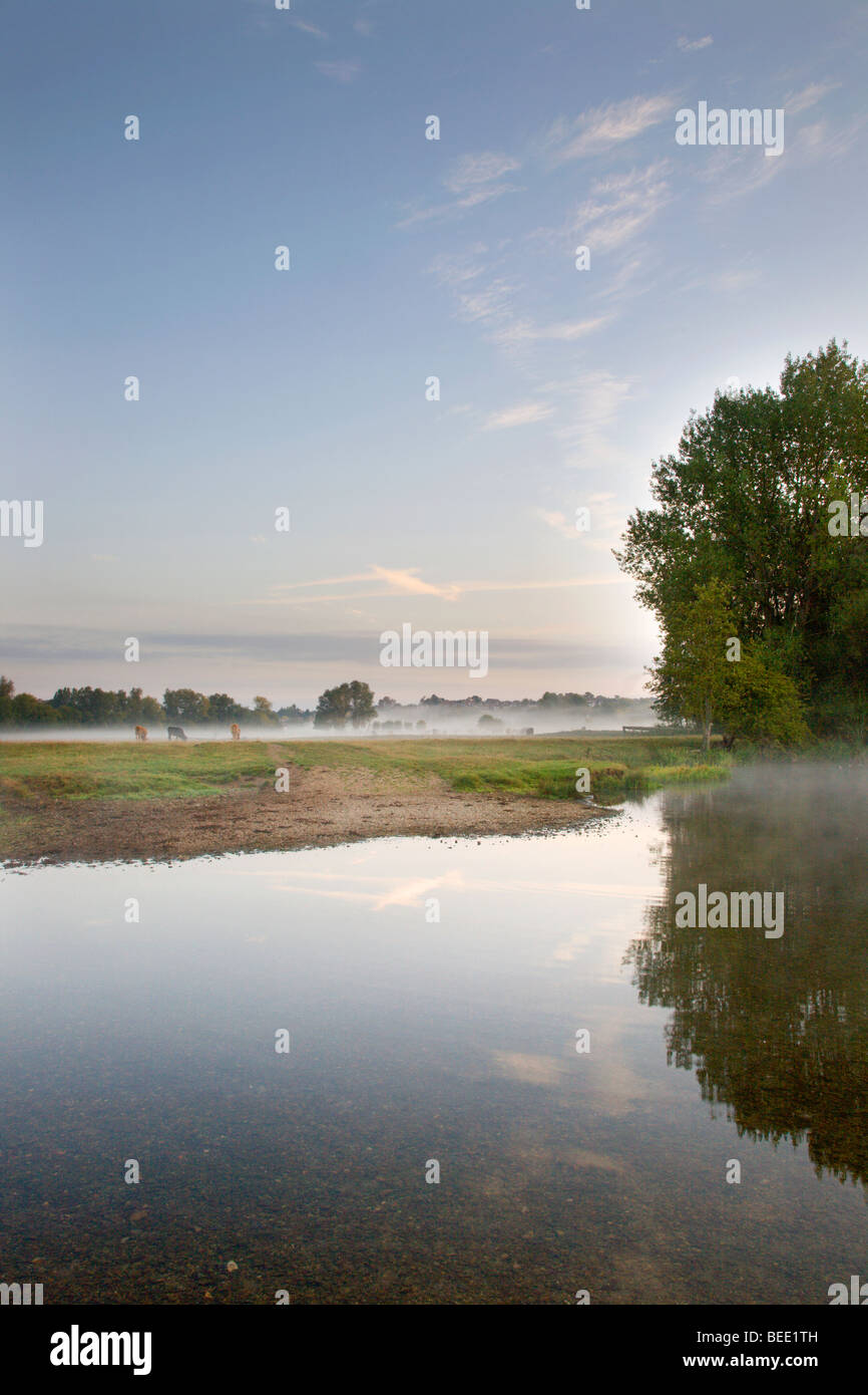 Water Meadows Sudbury Suffolk England Stock Photo - Alamy