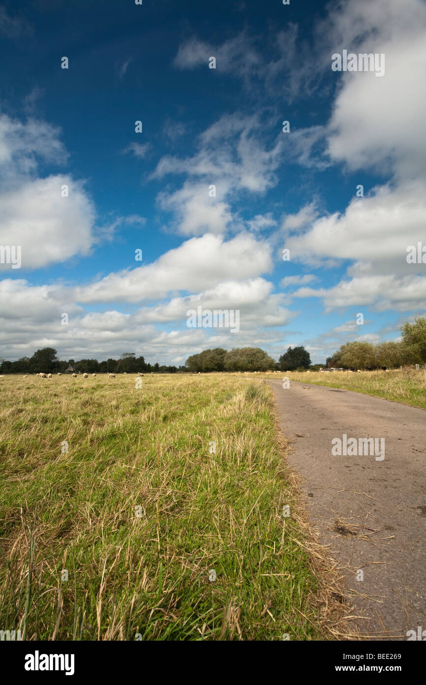 View across water meadows towards Kings Lock and Weir on the River ...