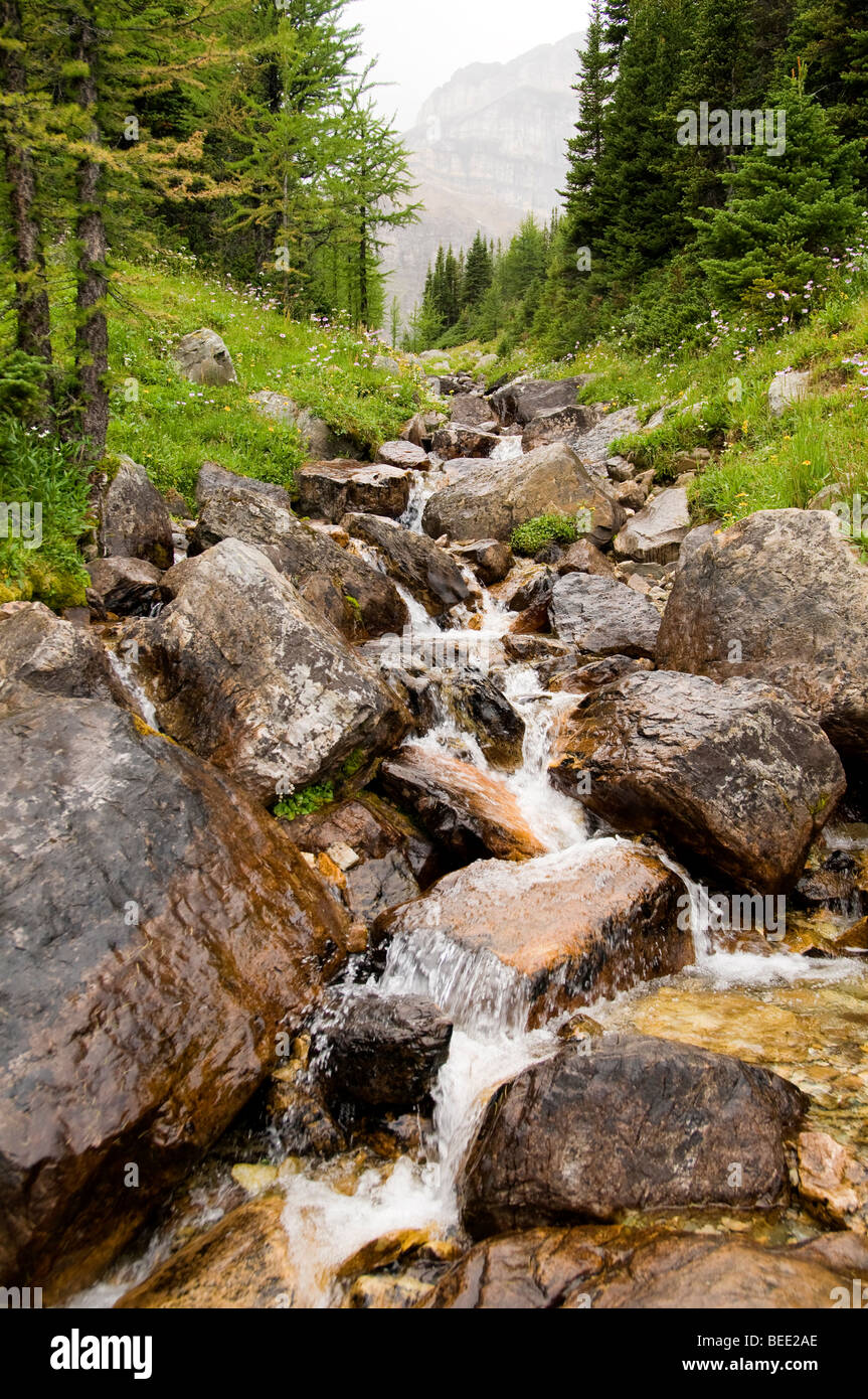 Mountain water runoff hi-res stock photography and images - Alamy