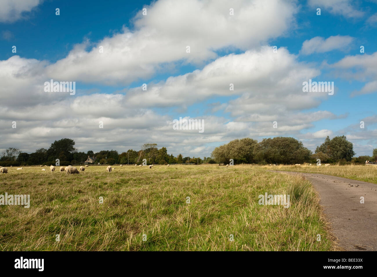 View across water meadows towards Kings Lock and Weir on the River ...