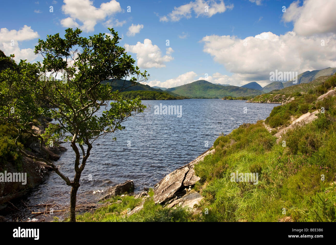 Muckross lake ireland hi-res stock photography and images - Alamy
