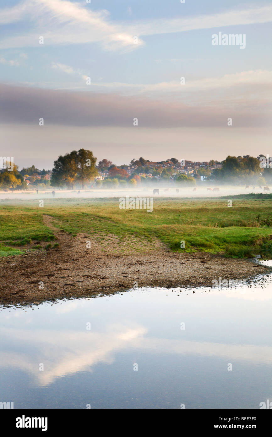 Water Meadows Sudbury Suffolk England Stock Photo - Alamy