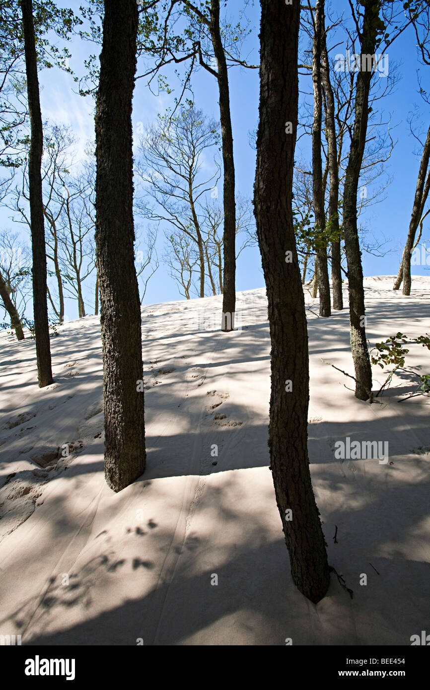 Leba lacka hi-res stock photography and images - Alamy