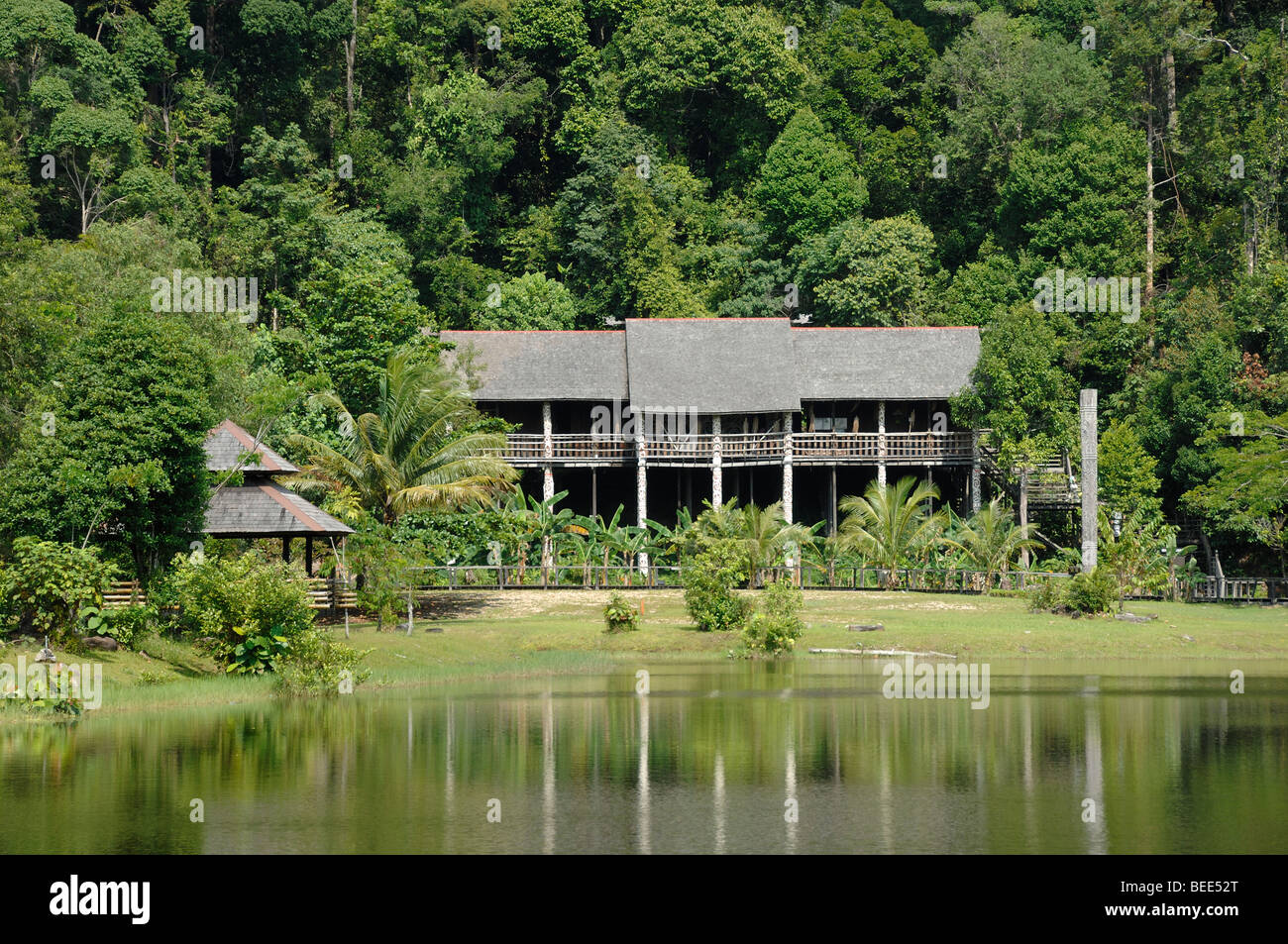 A Traditional Timber & Grass Orang Ulu or Dayak Tribe Communal ...