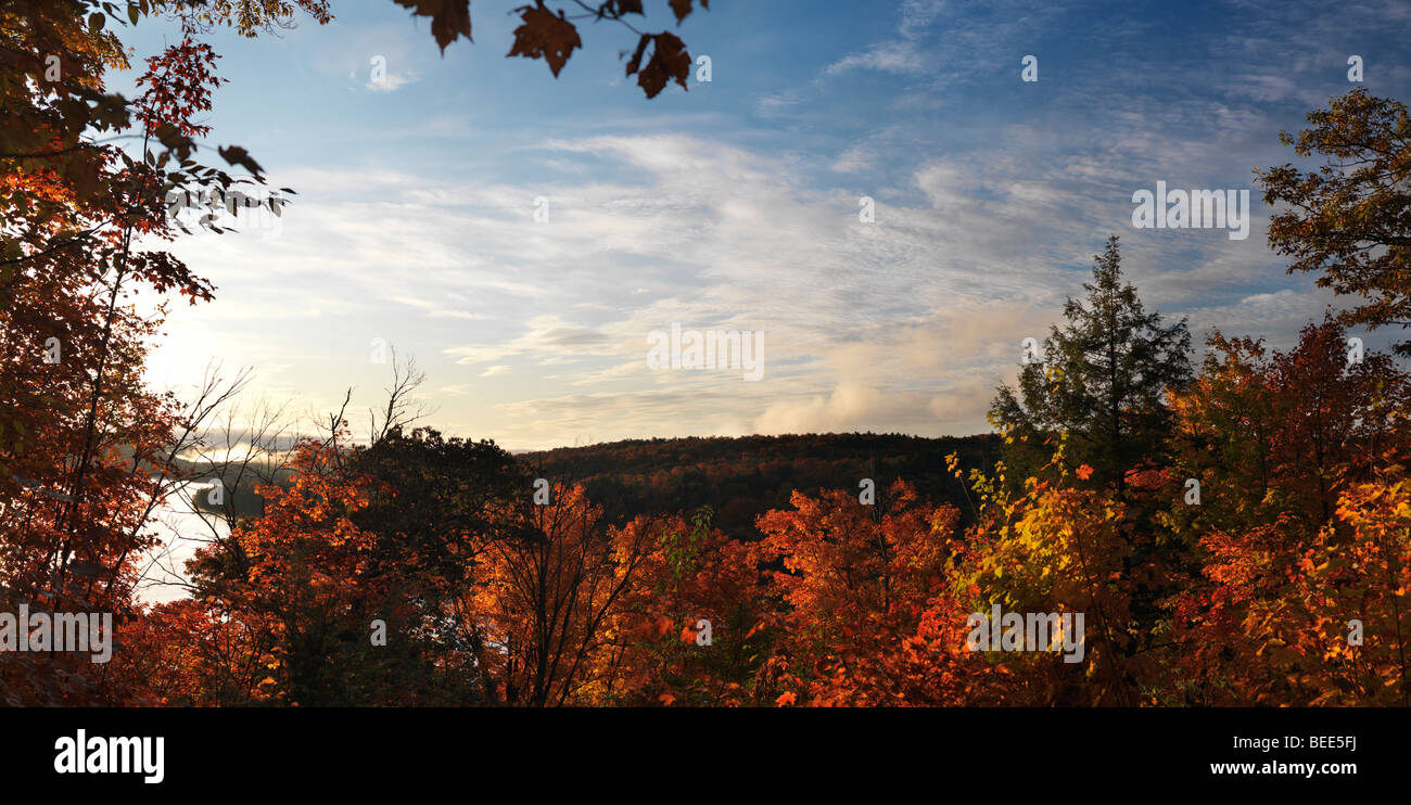 Panoramic fall nature scenery framed with colorful trees at dawn over ...