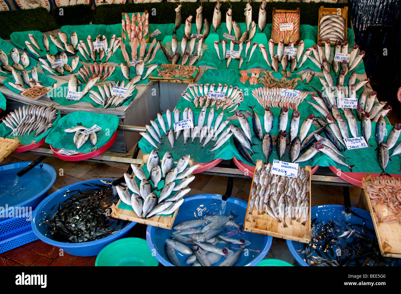 Istanbul Turkey Kumkapi Balik Pazar fish market Stock Photo - Alamy