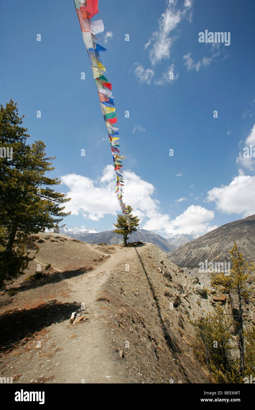 Prayer praying flag flags hi-res stock photography and images - Alamy