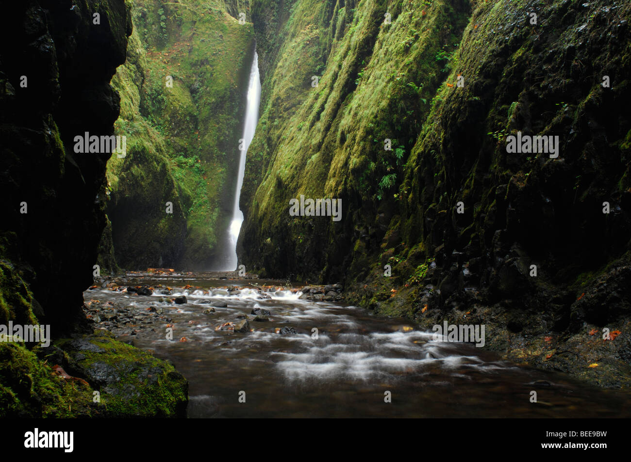 Oneonta waterfall hi-res stock photography and images - Alamy