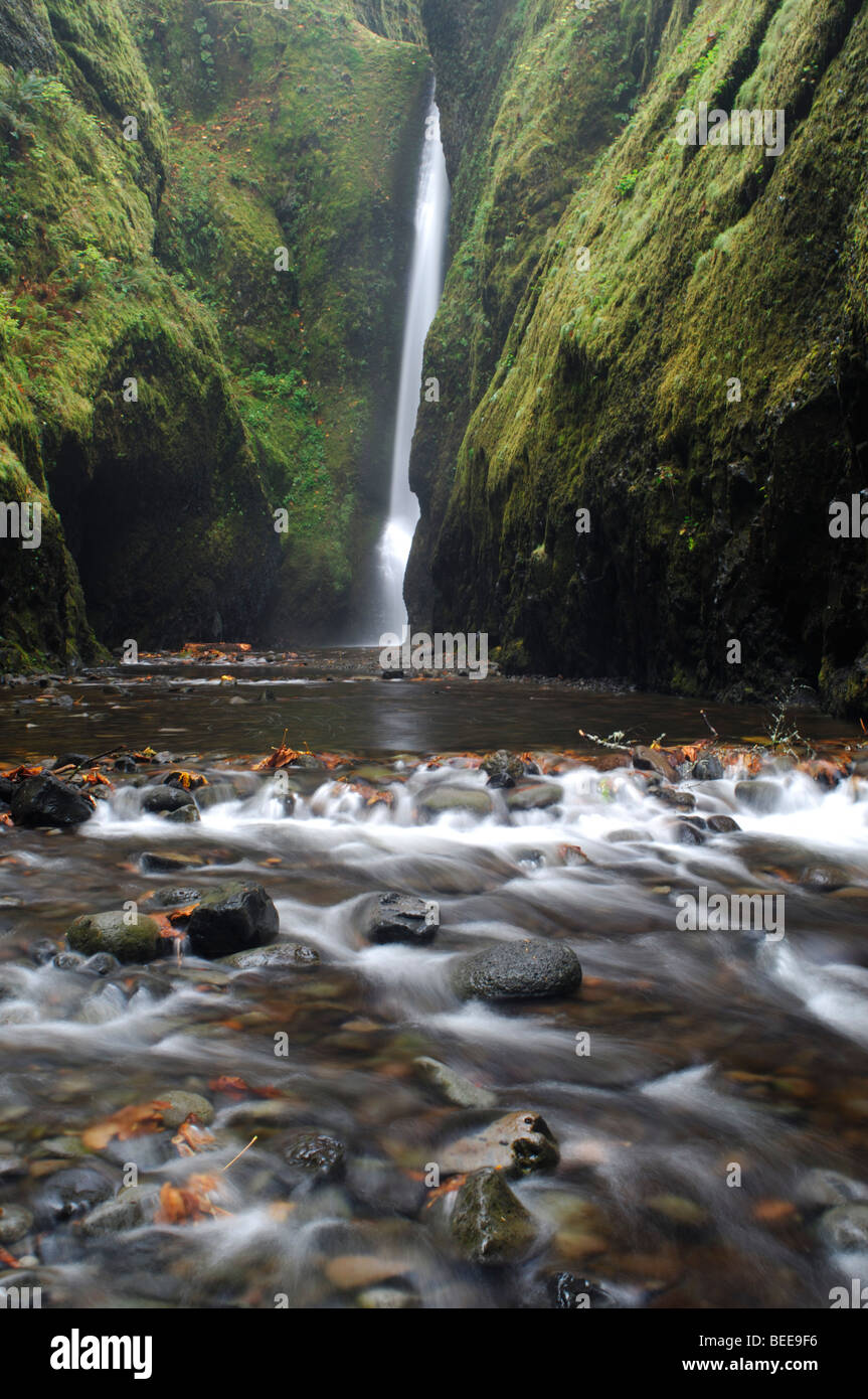 Oneonta canyon hi-res stock photography and images - Alamy