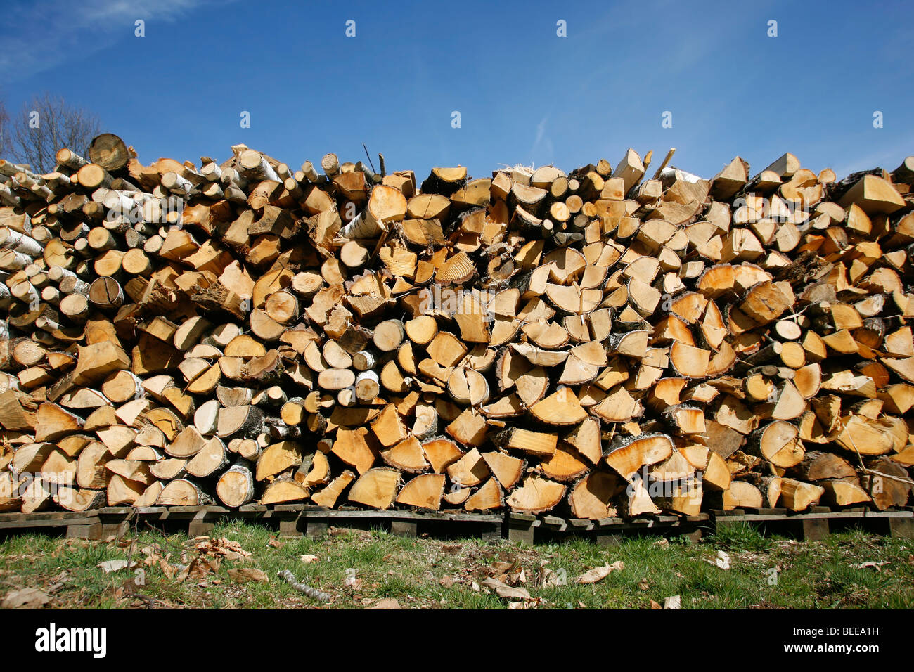Firewood logs piled up in field on blue sky background Stock Photo - Alamy