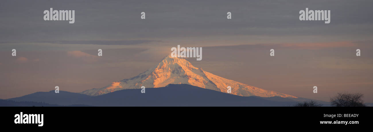 Mount Hood, sunset Stock Photo - Alamy