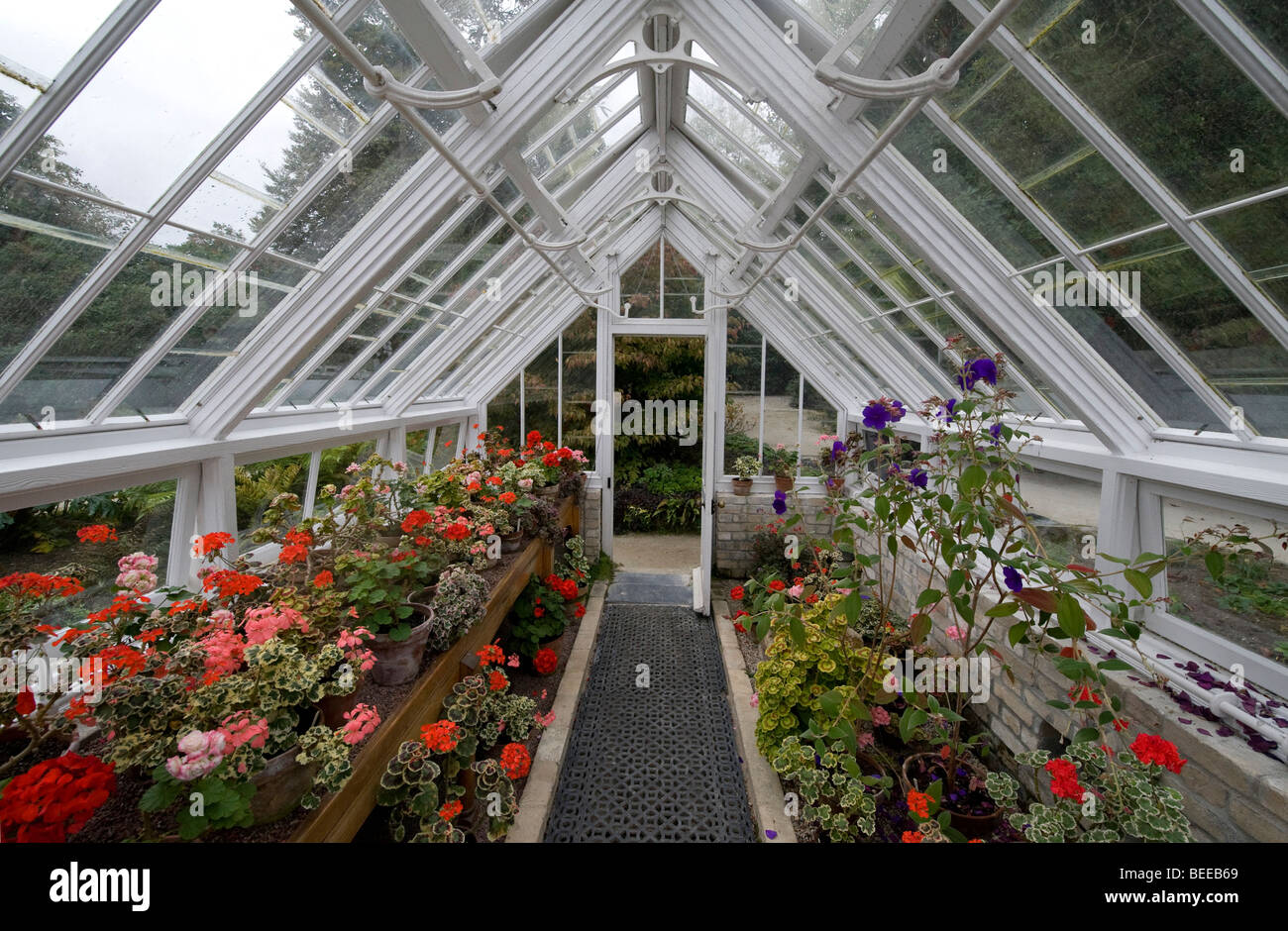 Heligan house lost gardens heligan hi-res stock photography and images ...
