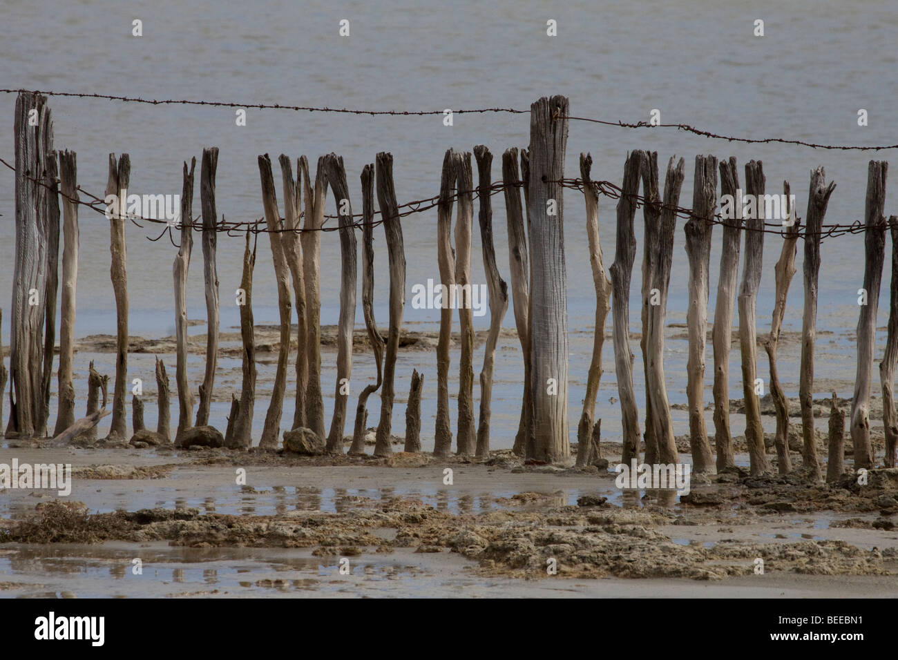 Old fence at the edge of sea water Stock Photo - Alamy