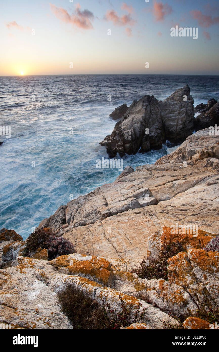 Point lobos trail hi-res stock photography and images - Alamy