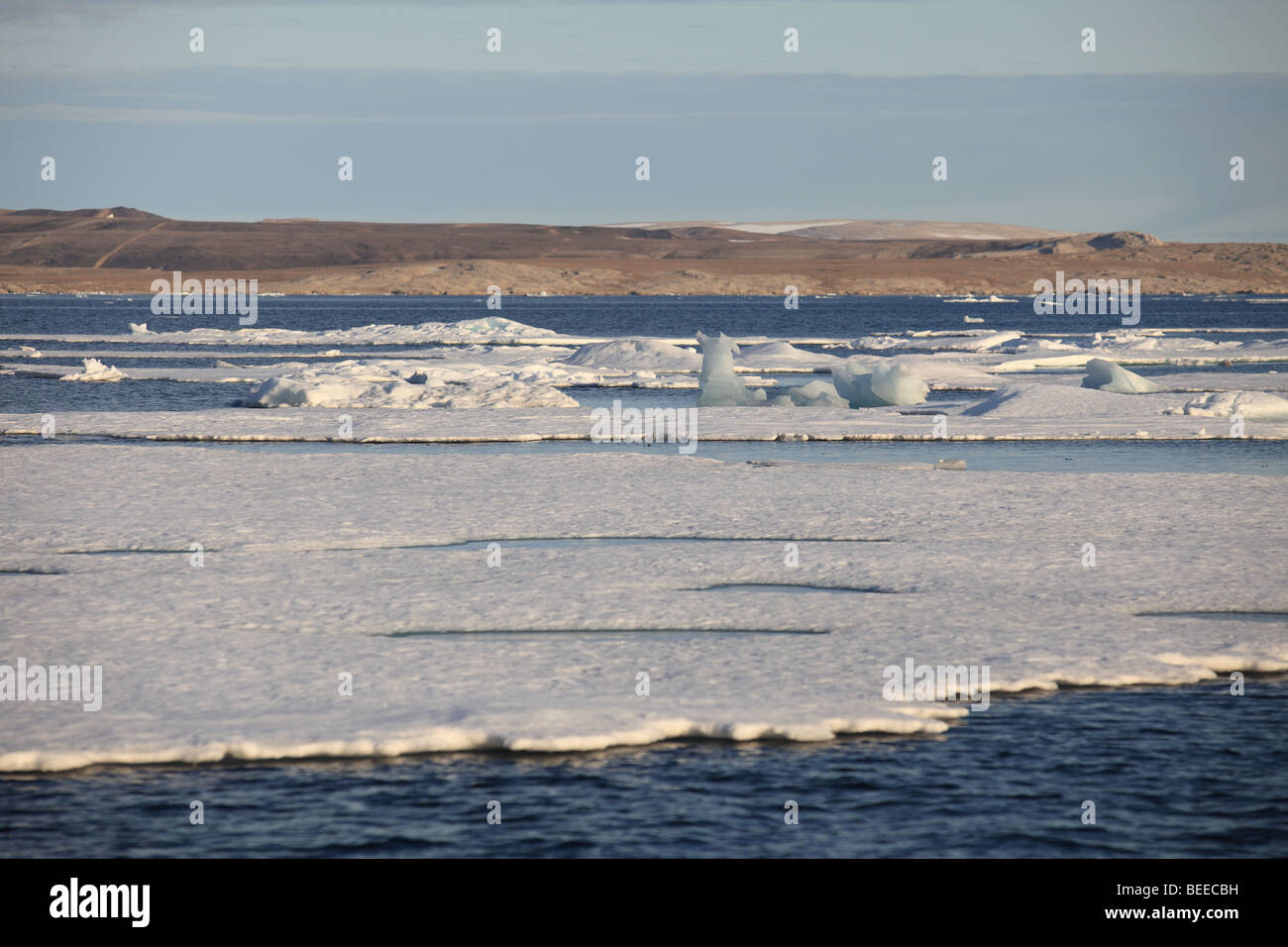 Polar ice pack arctic ocean hi-res stock photography and images - Alamy