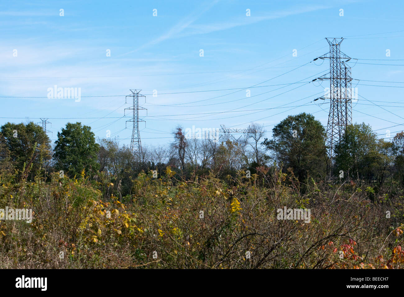 A autumn shot of public utility electric transmission towers. The steel ...