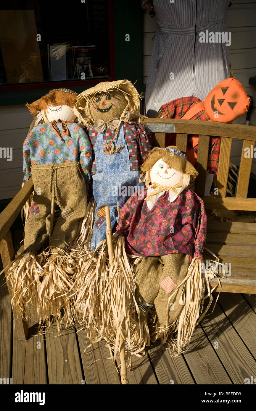 Scarecrows at a Thanksgiving day display. Squamish BC, Canada Stock ...