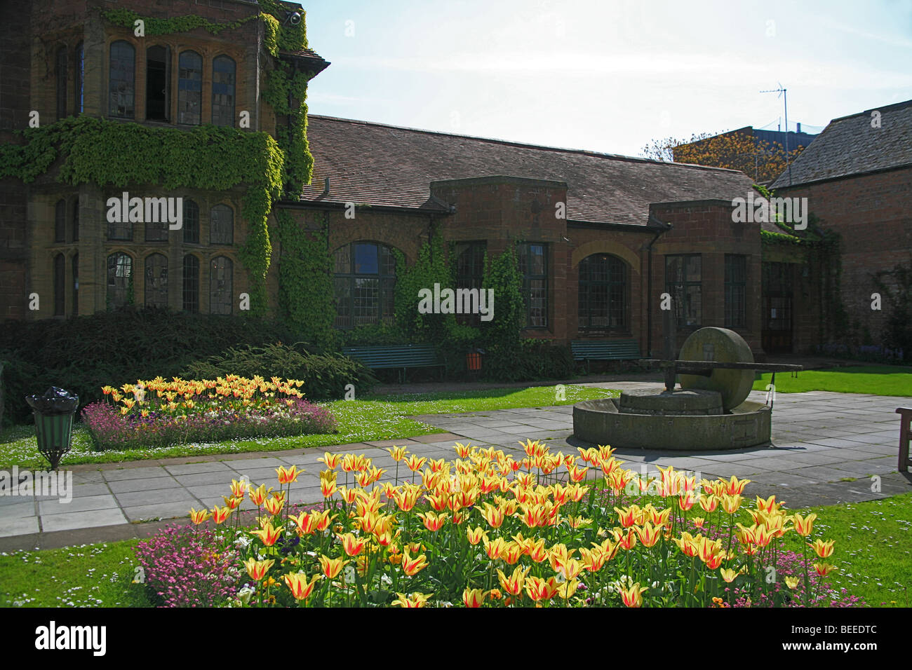 Spring bedding display outside The Old Library in Taunton, Somerset ...