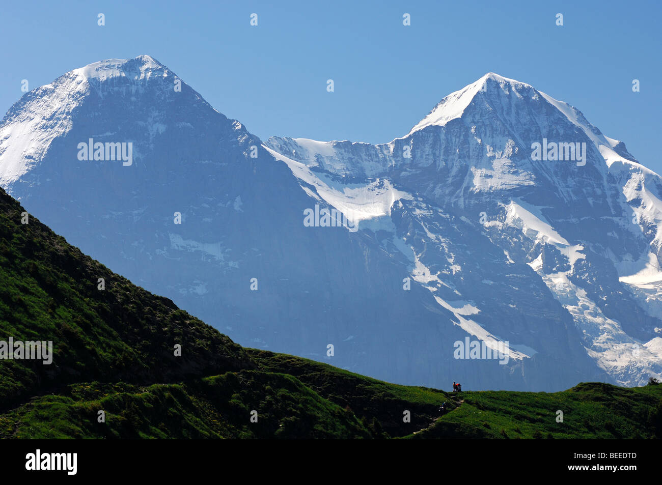 Panorama view of the Swiss alps with peaks of Eiger, Eiger north face ...