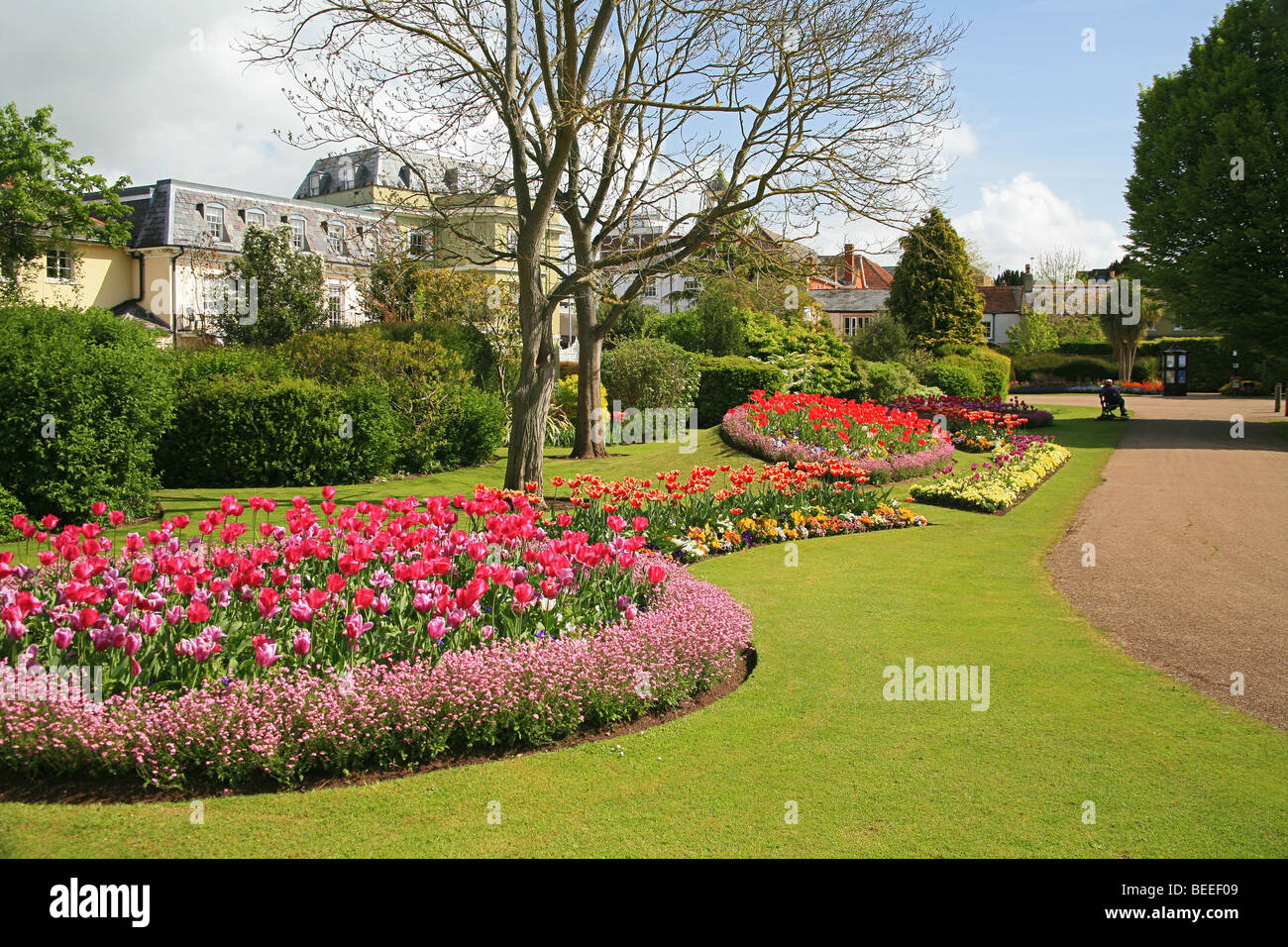 Spring bedding display in Vivary Park, Taunton, Somerset, England, UK ...