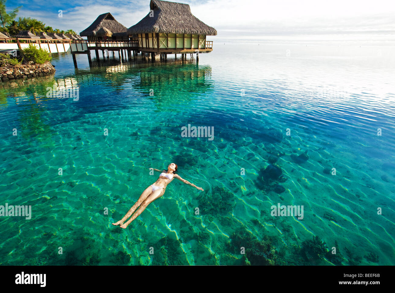 Woman in caribbean swimming hi-res stock photography and images - Alamy
