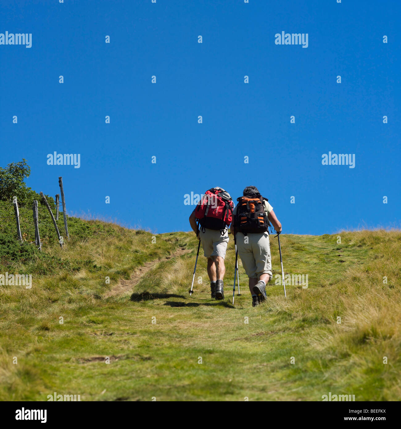 Ramblers walking stick hi-res stock photography and images - Alamy