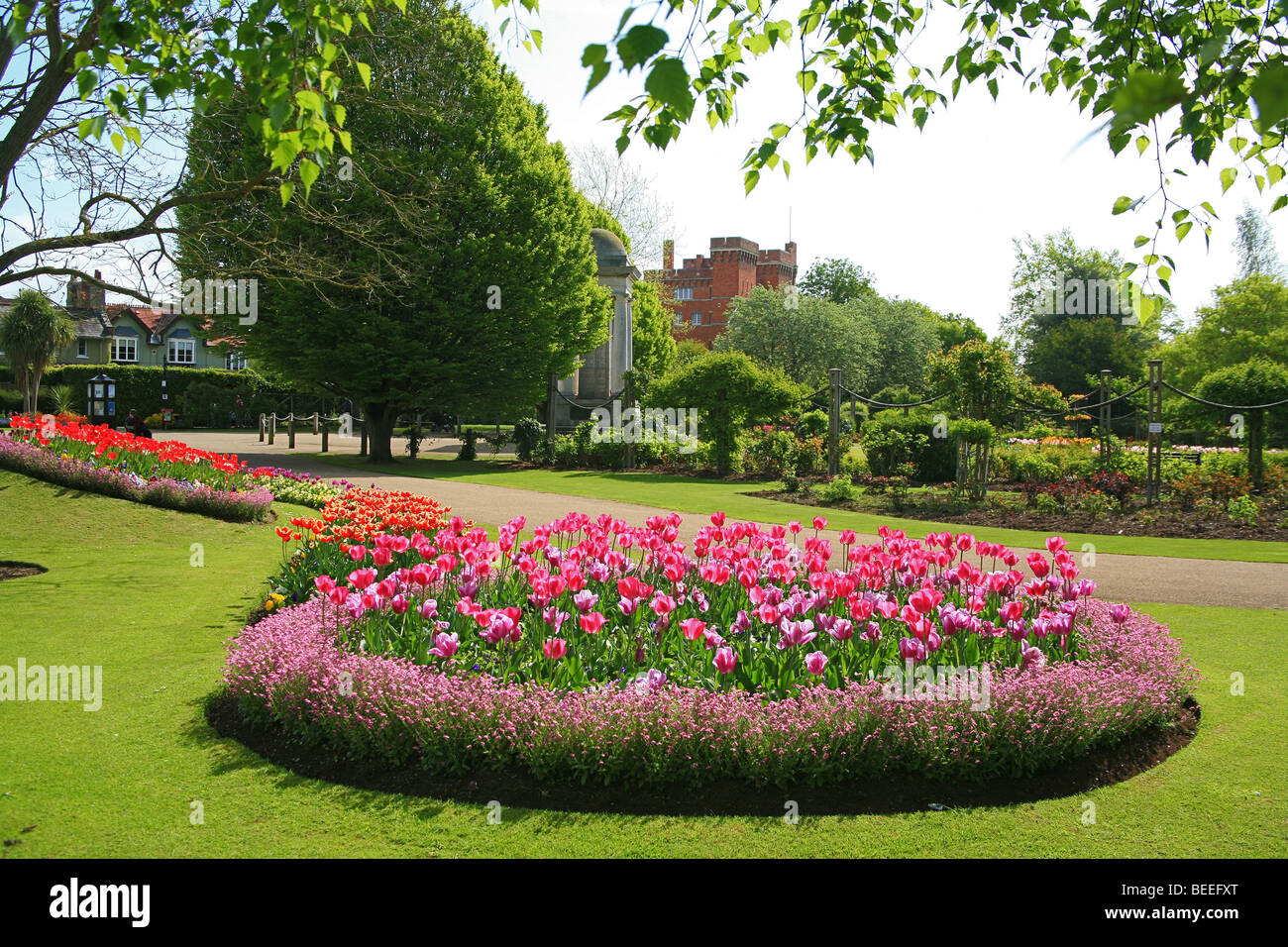 Spring bedding display in Vivary Park, Taunton, Somerset, England, UK ...