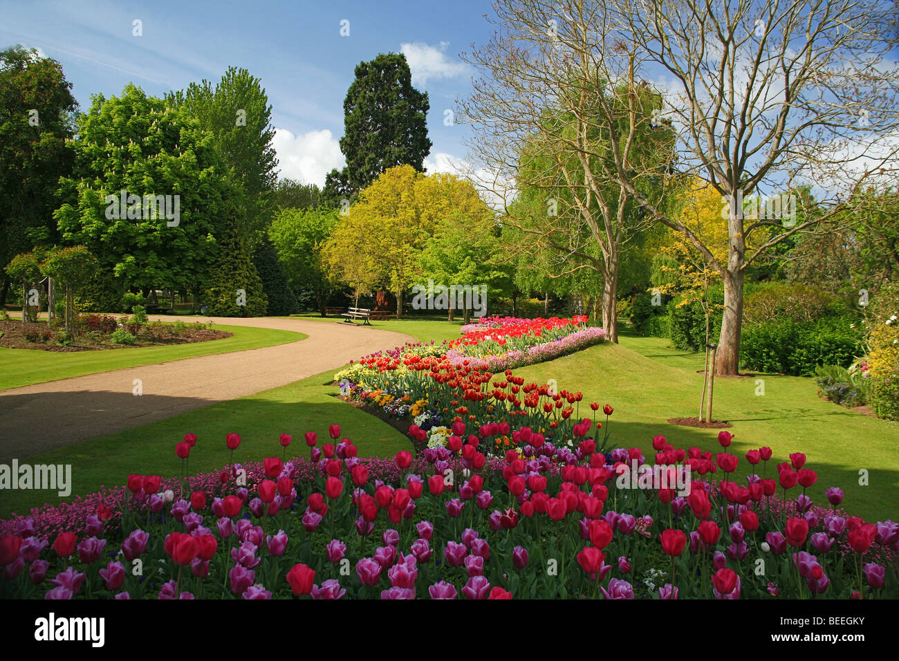 Spring bedding display in Vivary Park, Taunton, Somerset, England, UK ...