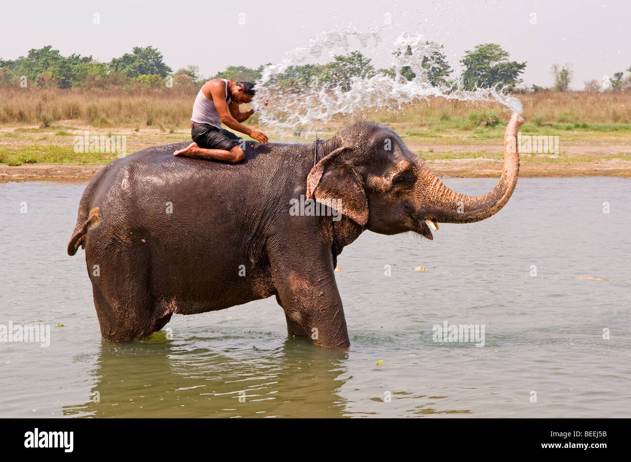 Bath time in Nepal Stock Photo - Alamy