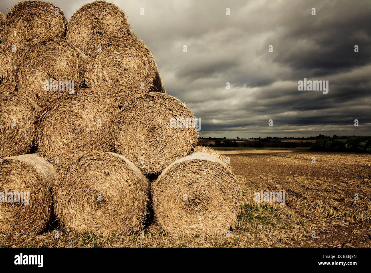 Stacked hay bails hi-res stock photography and images - Alamy