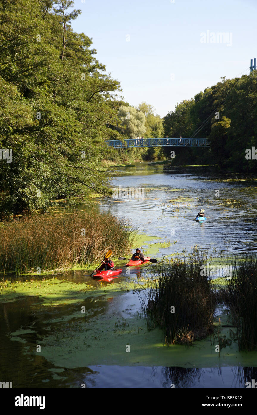 Canoeing on the River Stour at Blandford Forum, a north Dorset town in ...