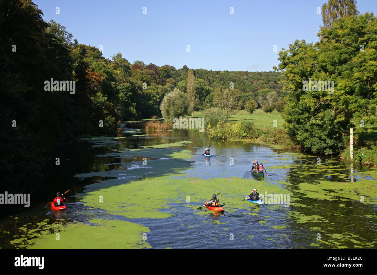 Canoeing on the River Stour at Blandford Forum, a north Dorset town in ...