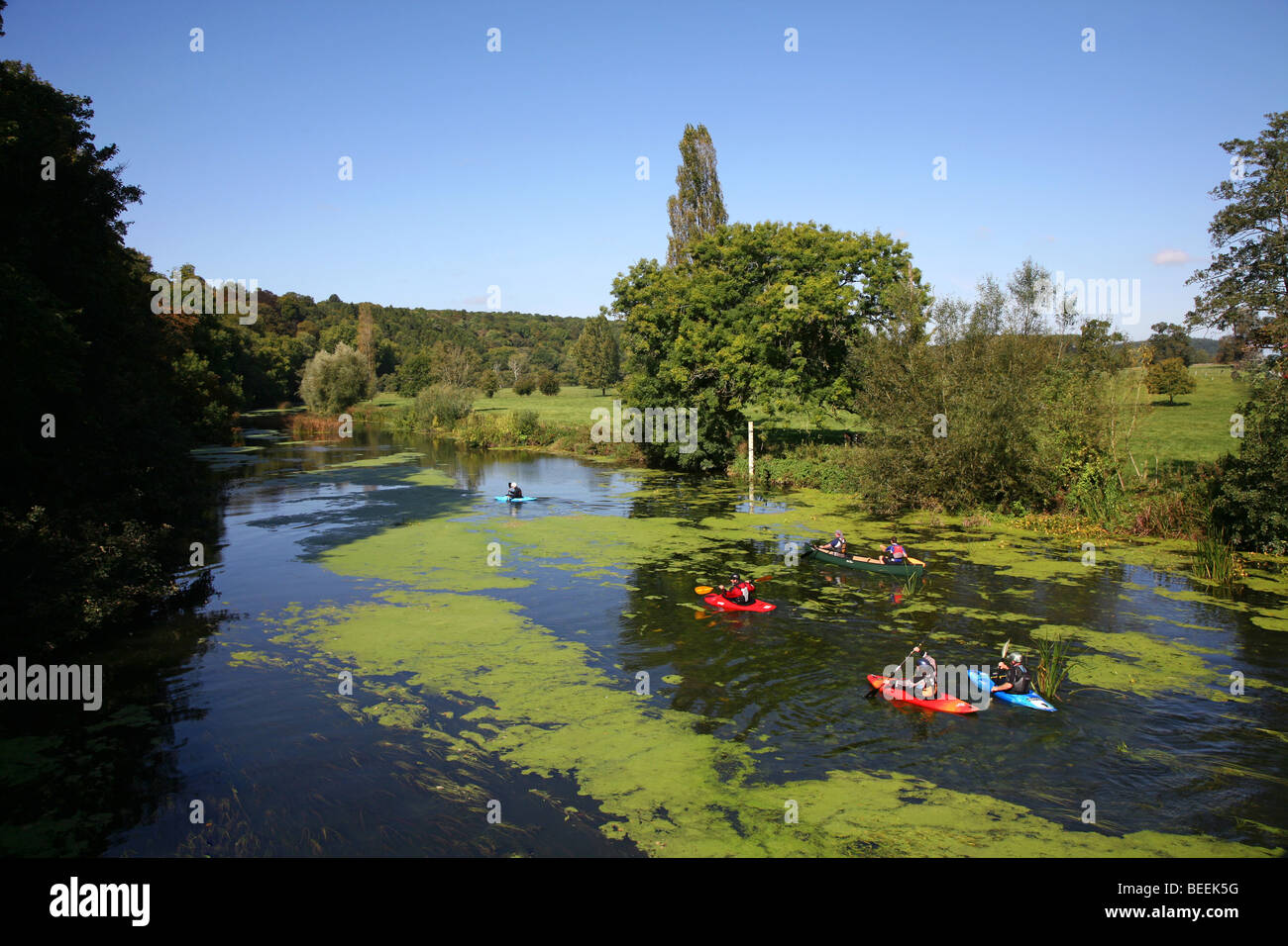 Canoeing on the River Stour at Blandford Forum, a north Dorset town in ...