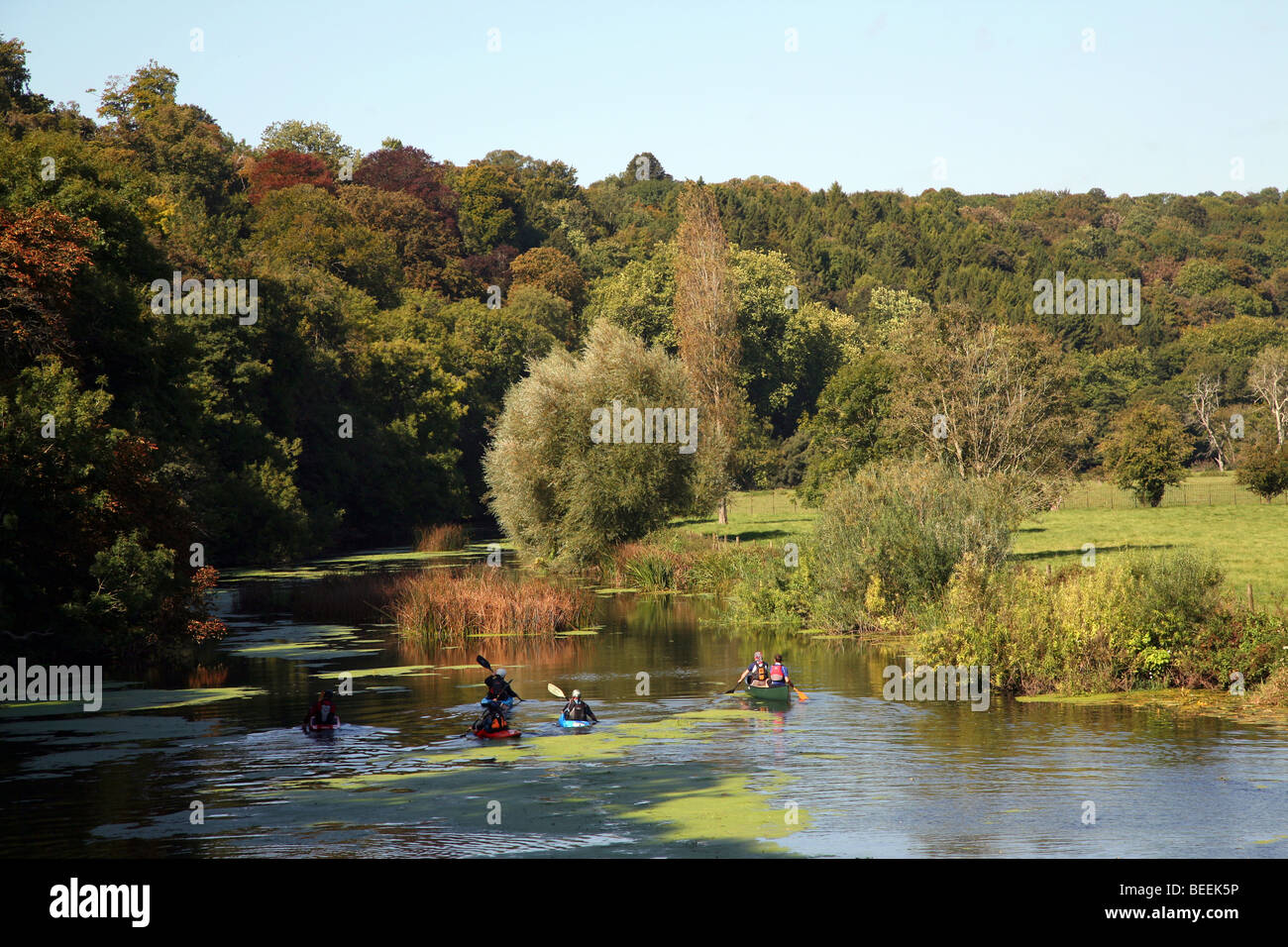 Canoeing on the River Stour at Blandford Forum, a north Dorset town in ...