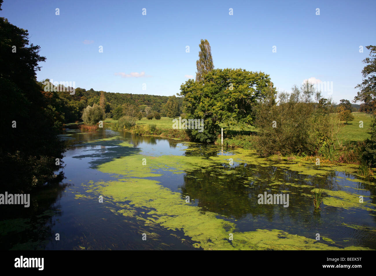 Picturesque view of the River Stour at Blandford Forum, a north Dorset ...