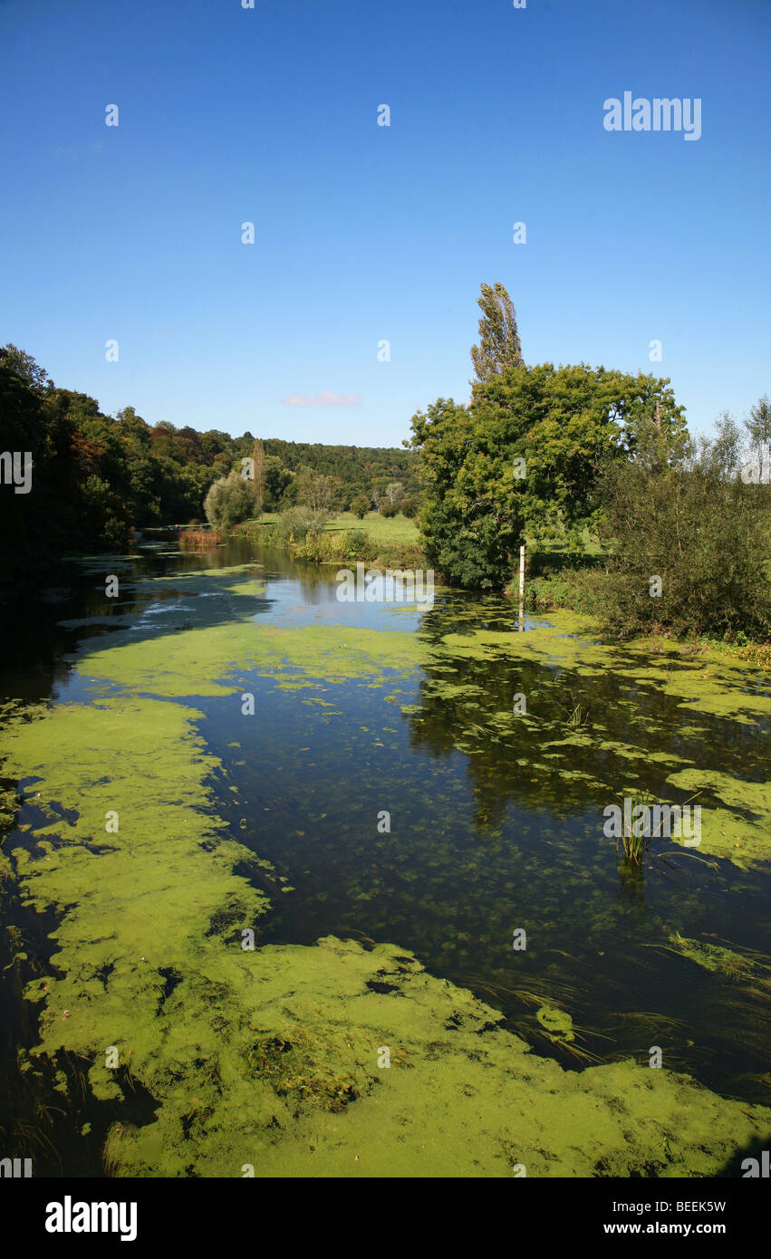 Picturesque view of the River Stour at Blandford Forum, a north Dorset ...