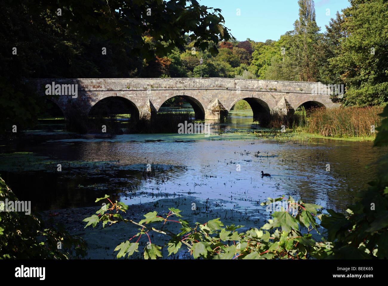 Blandford Forum Dorset Georgian High Resolution Stock Photography and ...